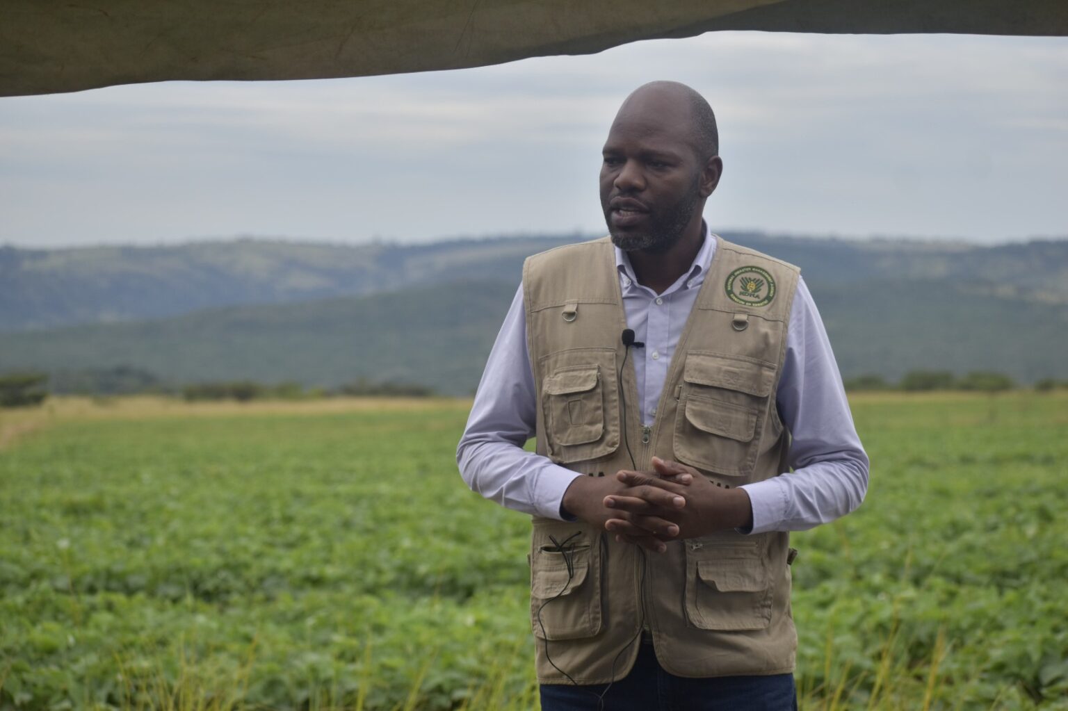 Landmark Partnership Set to Slash Bean Imports and Boost Eswatini’s ...