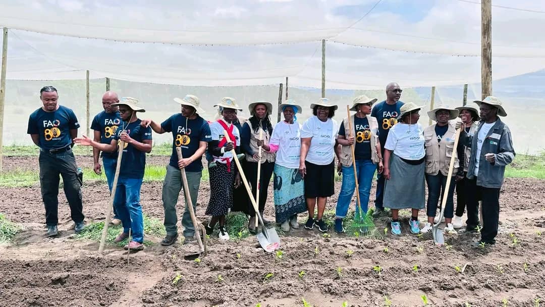 FAO SUPPORT BOOSTS BANCOBI FARMERS’ PRODUCTIVITY - Agribusiness Media