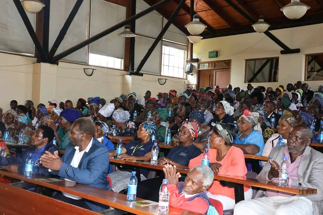 TAVI TREATS ELDERLY TO TRADITIONAL VEGETABLES - Agribusiness Media