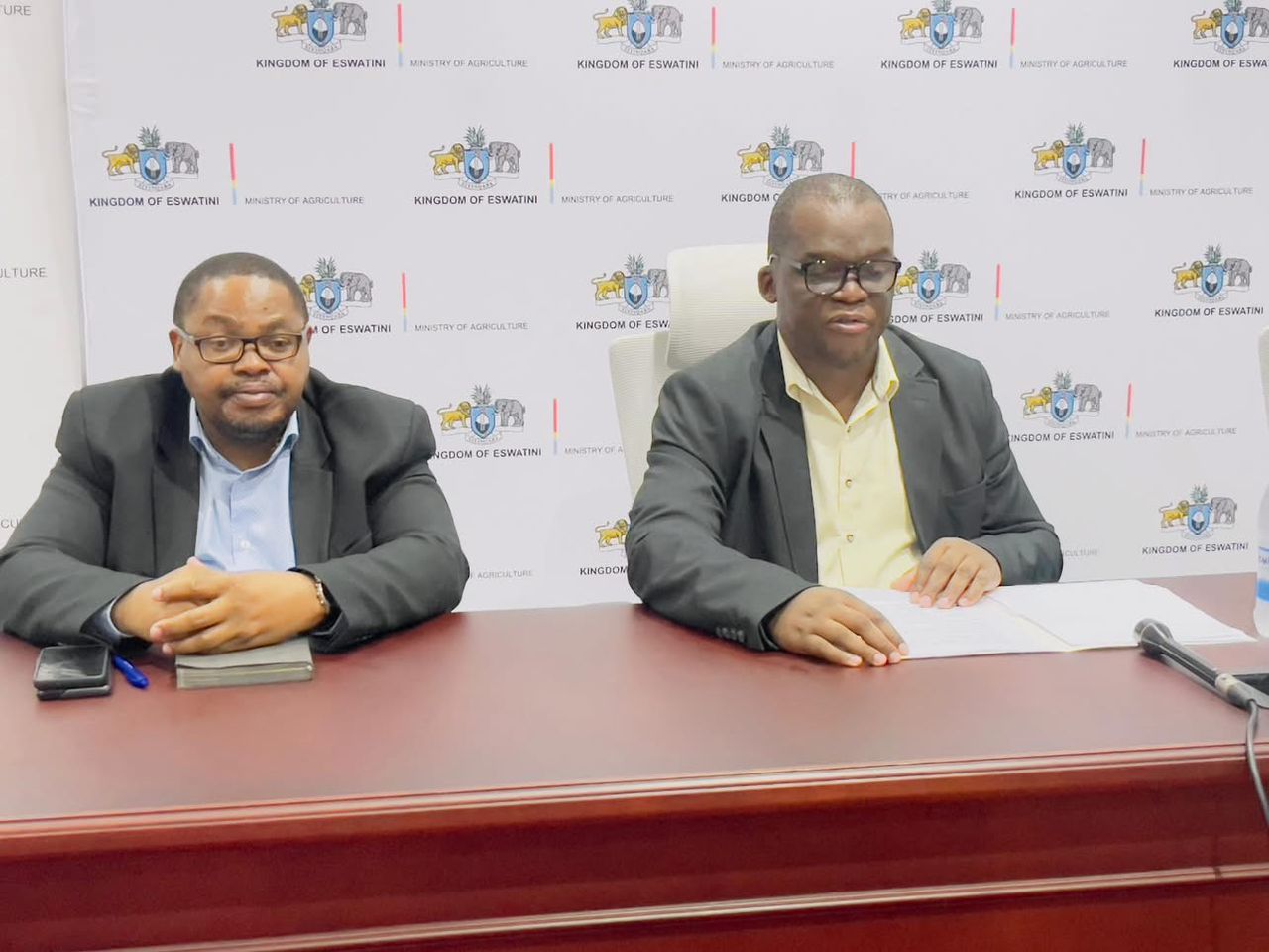 Government launches national market assessment to boost food security and market stability ...