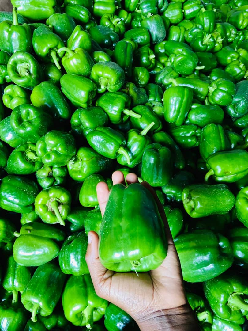 SHEROES ON THE RISE: VUYISILE DLAMINI TURNS A GRANT INTO A GROWING AGRIBUSINESS DREAM ...