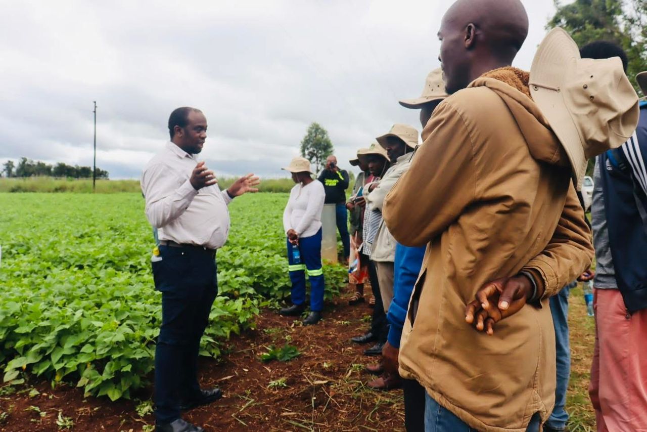 BEAN PRODUCTION GUIDE - Agribusiness Media