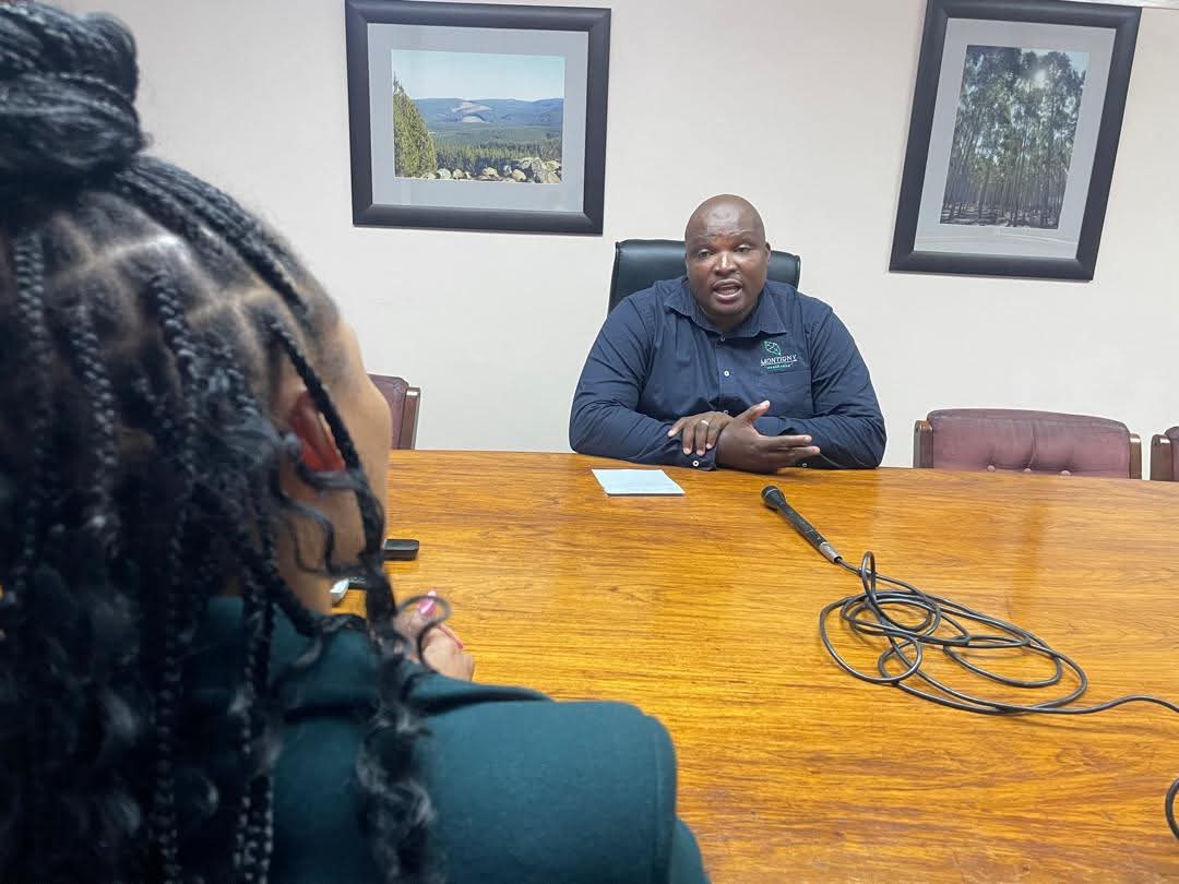 MONTIGNY ADJUSTS OPERATIONS AS HEAVY RAINS HIT TIMBER PRODUCTION ...